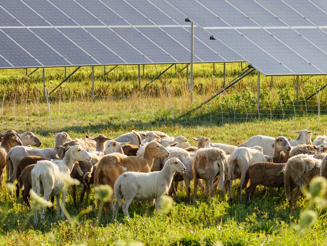 Anatomy Of A Utility Bill Ideal Energy